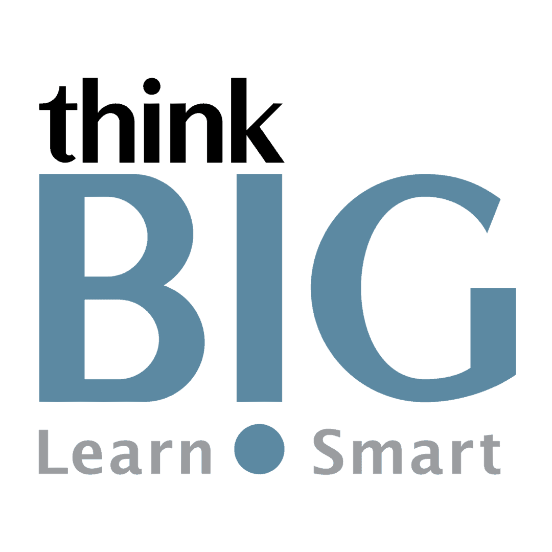 Technology Training & Development Services | ThinkB!G.LearnSmart